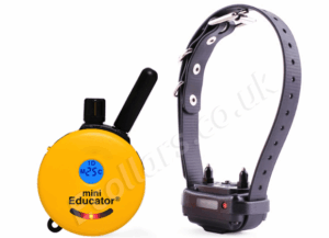 MINI EDUCATOR E COLLAR ET-300 - Official UK Retailer » Ecollars.co.uk