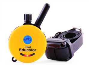 Mini Educator E-Collar | E-Collar Technologies UK